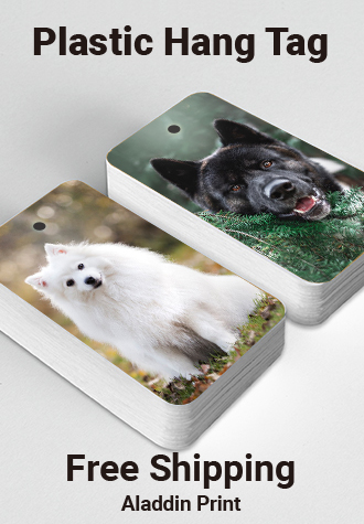 Plastic Hang Tag (Thin), White Plastic Hang Tag - Free Shipping ...