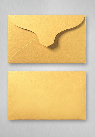 Business Card Envelope - Free Worldwide Shipping
